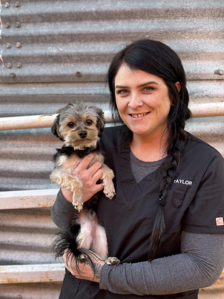 Taylor Storm - Country Veterinary Clinic